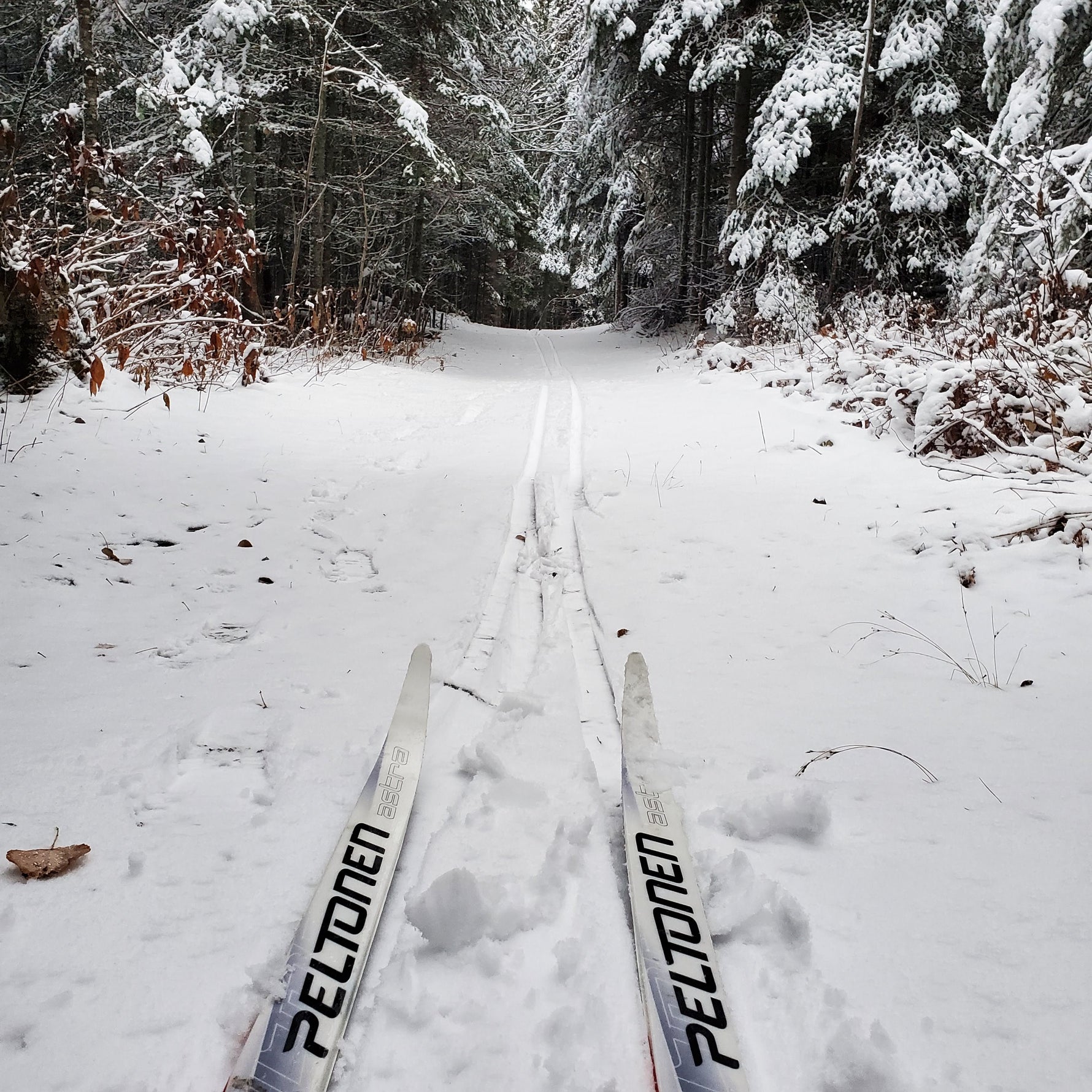 Skiwax.ca | Specialized Ski Wax and Equipment Shop